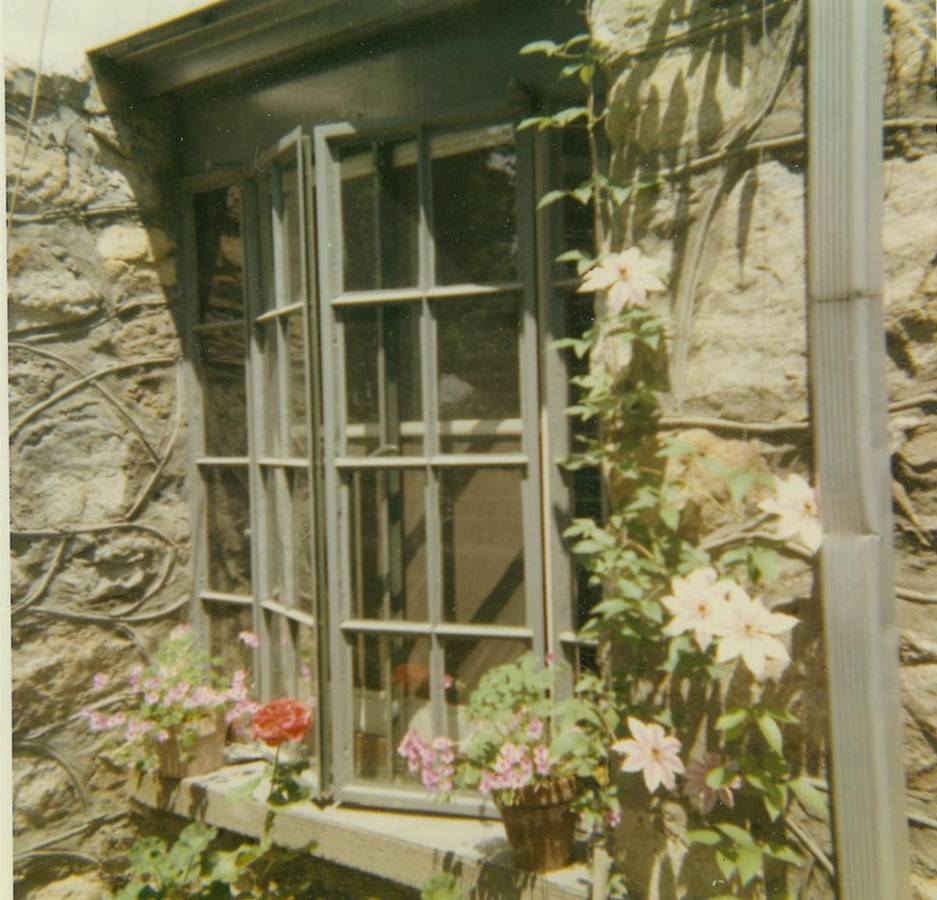 The House on Flower Dr. in Lake Lincolndale New York | Laubis Family ...