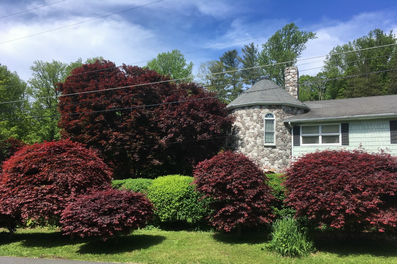 The House on Flower Dr. in Lake Lincolndale New York | Laubis Family ...